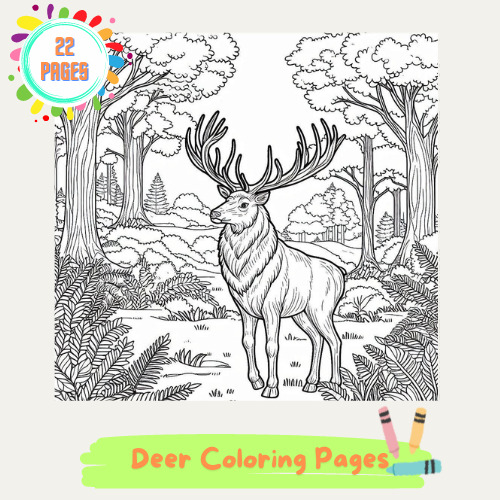 Deer Coloring Pages For Kids - Free PDF Printables