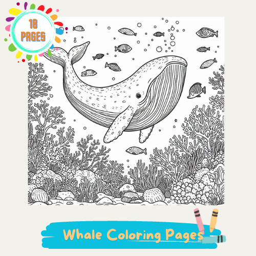 18 Whale Coloring Pages For Kids - Free PDF Printables